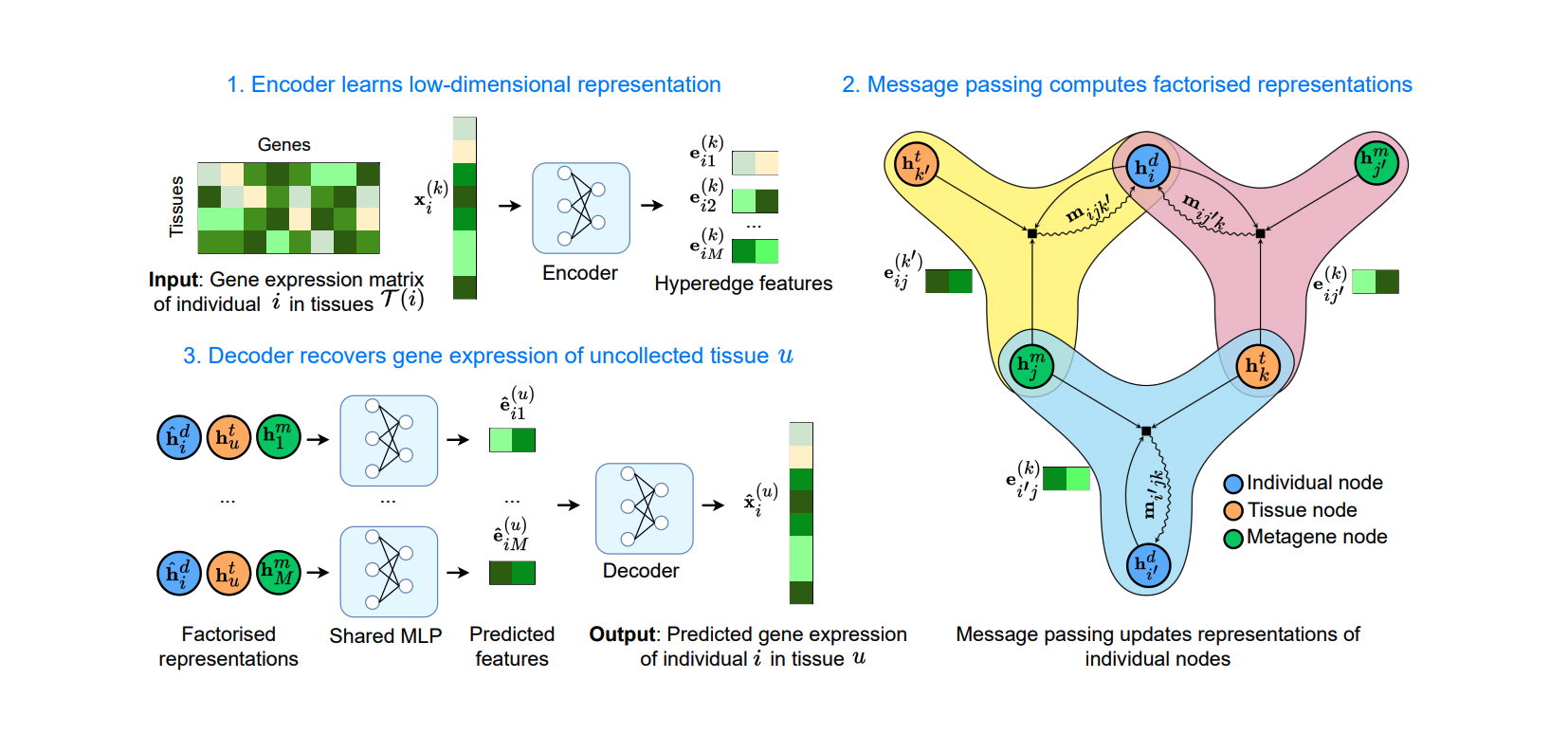 Hypergraph Factorisation For Multi Tissue Gene Expression Imputation